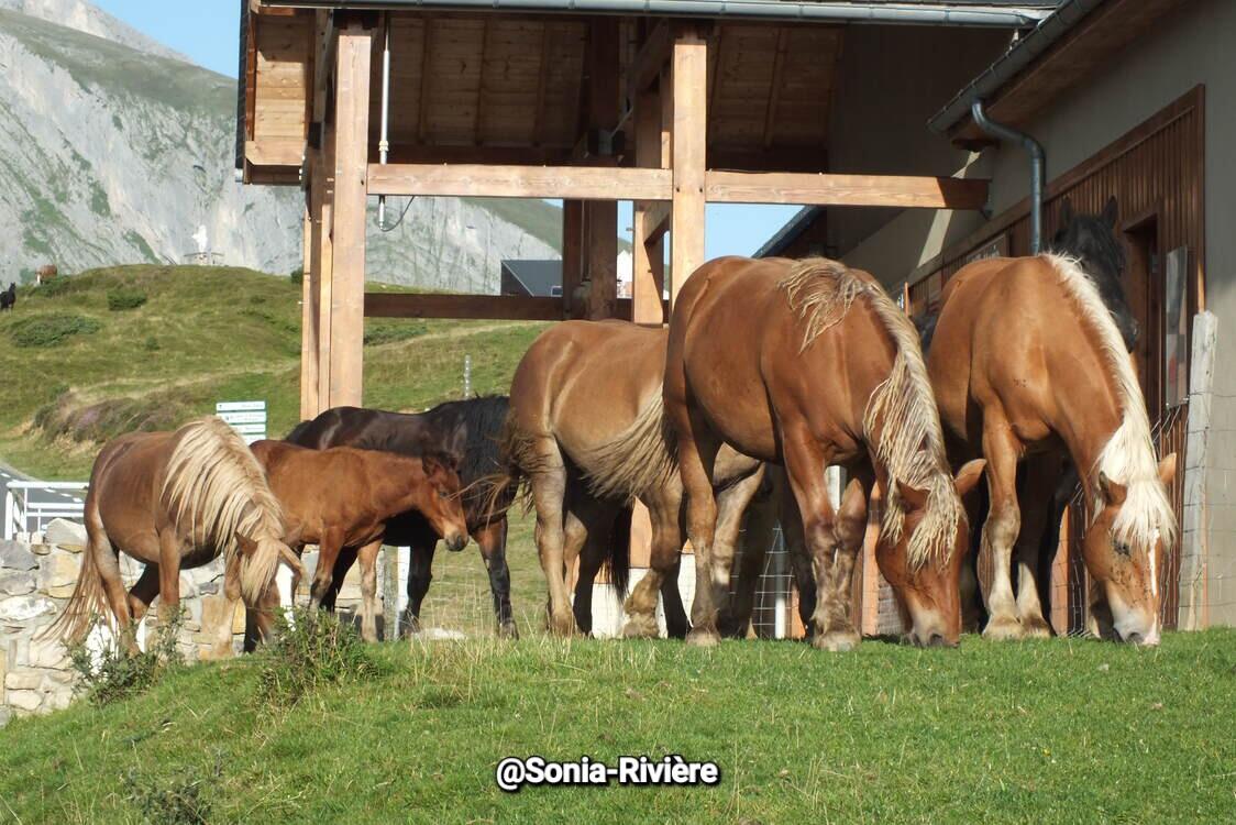 Randonnée au col de Soulor : une aventure entre ciel et montagnes ...